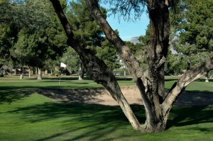 El Rio Photo Gallery - Tucson City Golf