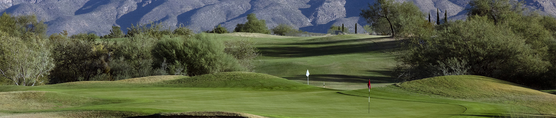 Ollie's Pizza & Beer - Tucson City Golf